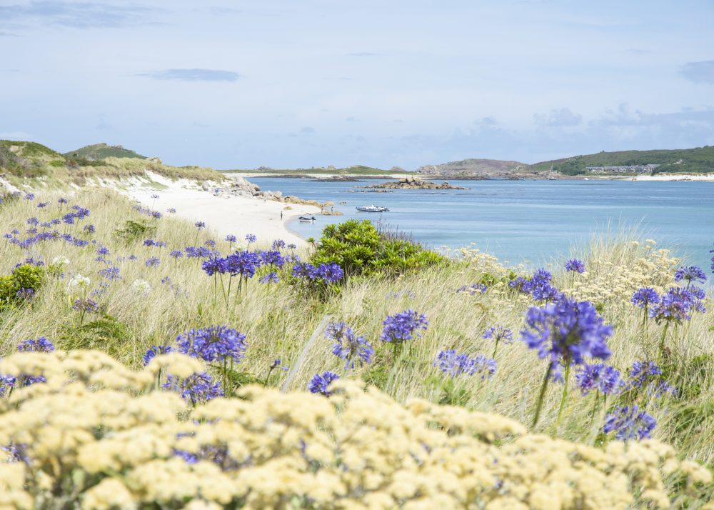 Manage Your Booking | Tresco Island