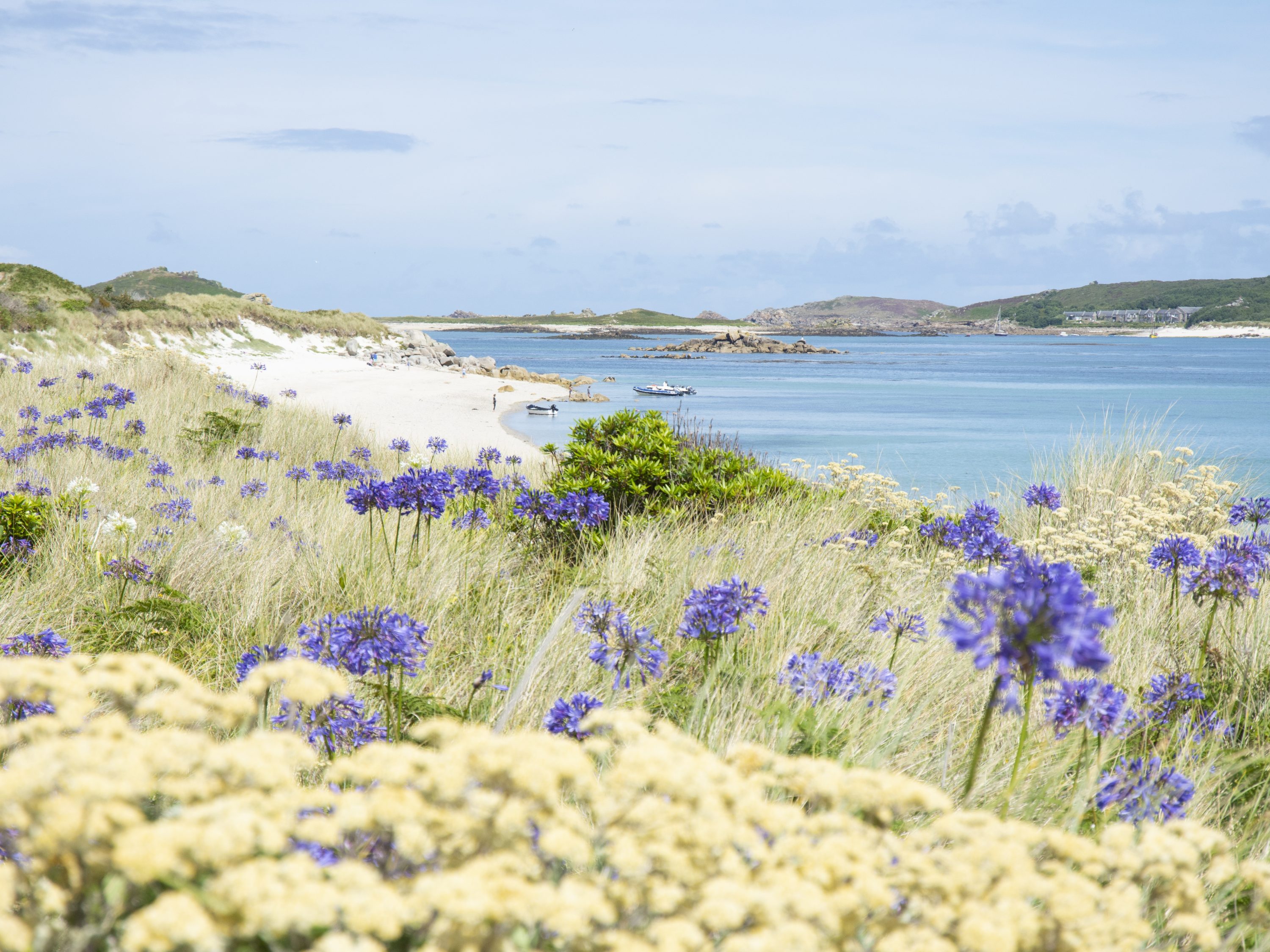 Summer on Tresco | Tresco Island