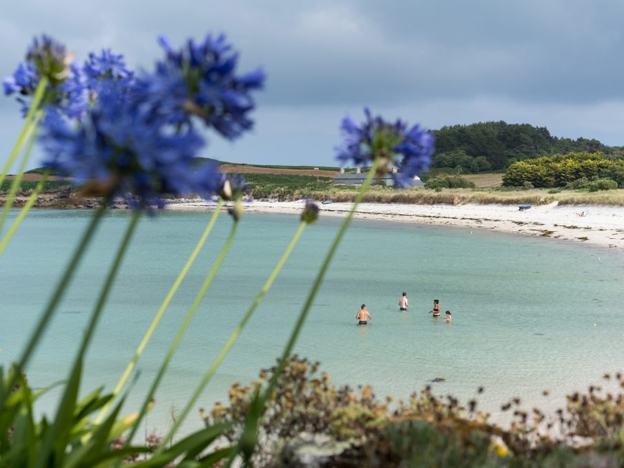 Day Trips to Tresco | Tresco Island