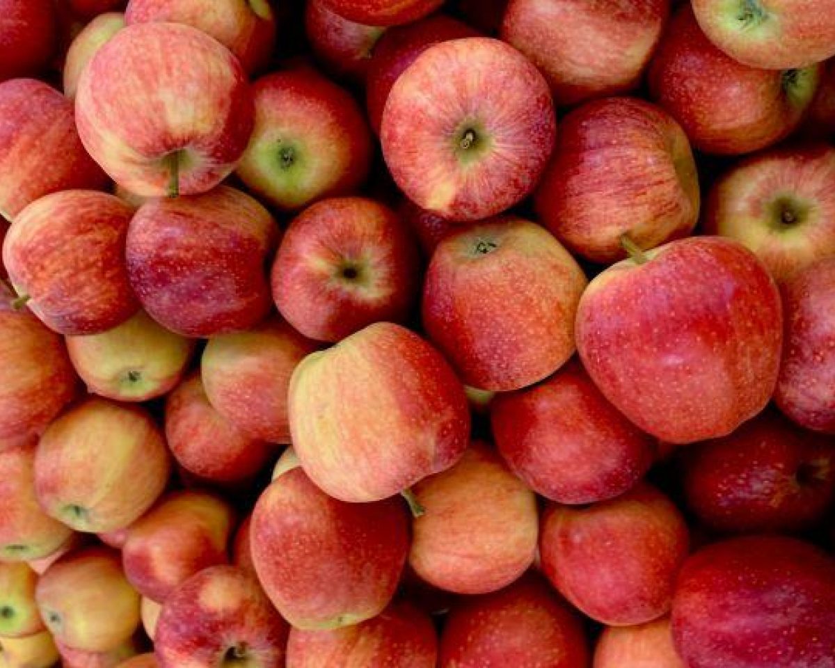 Fresh Fruit & Vegetables | Tresco Island