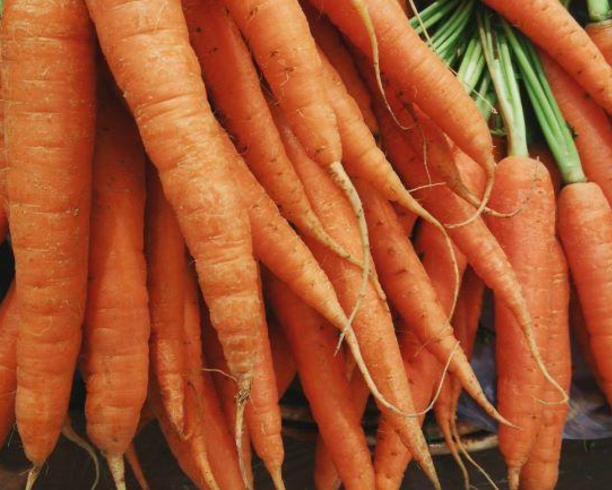Fresh Fruit & Vegetables | Tresco Island