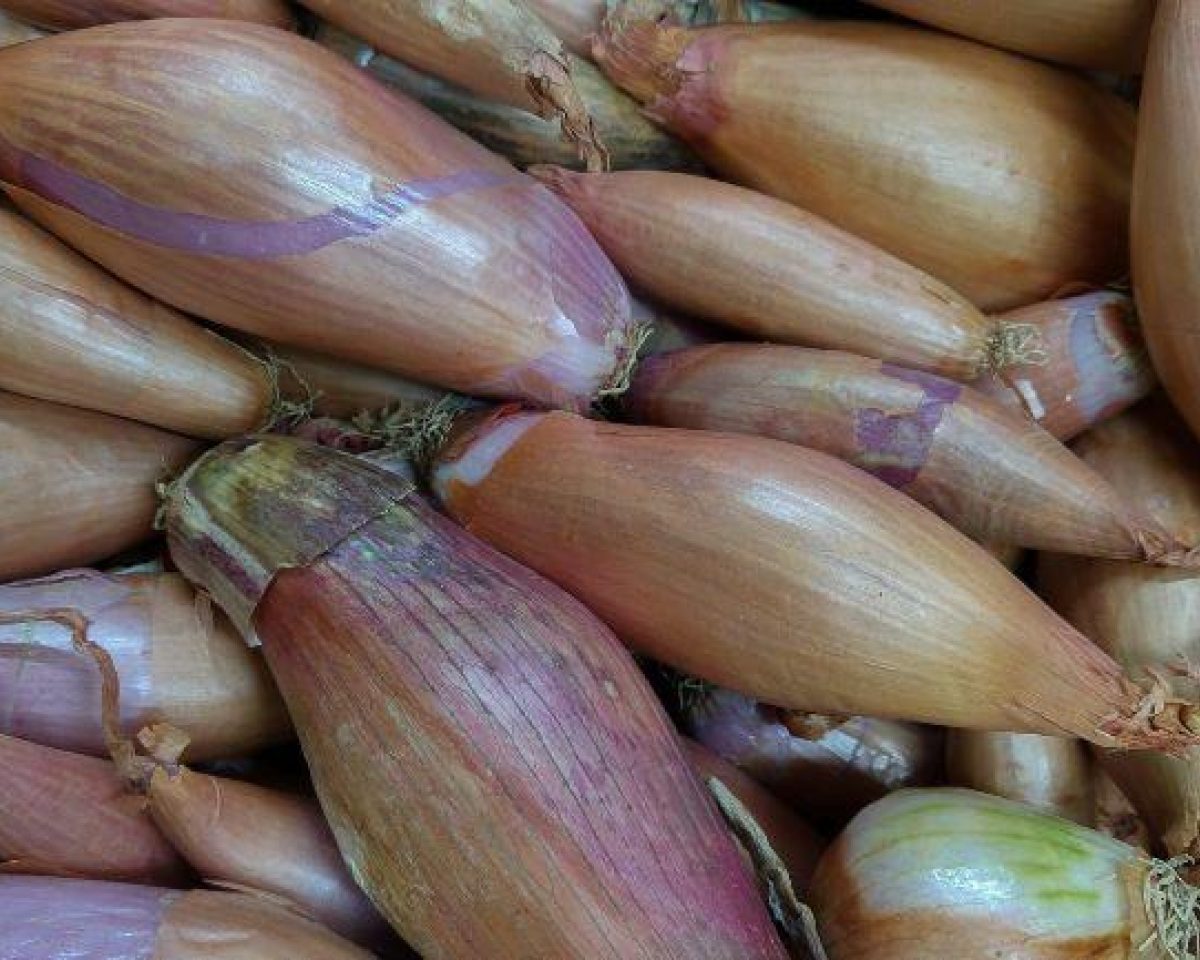 Fresh Fruit & Vegetables | Tresco Island