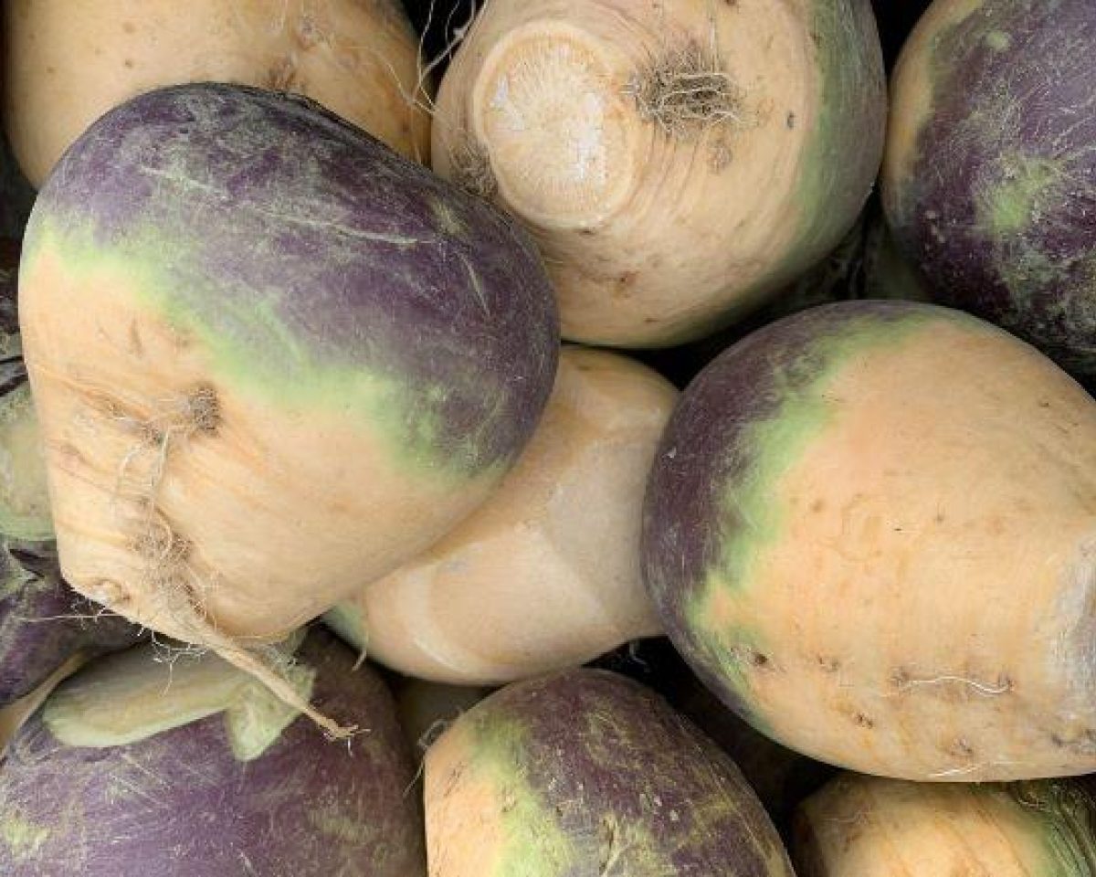 Fresh Fruit & Vegetables | Tresco Island