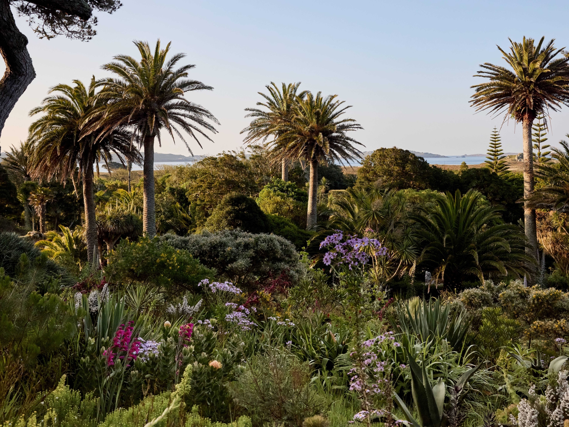 Tresco Abbey Garden | The Isles of Scilly’s Subtropical Paradise ...