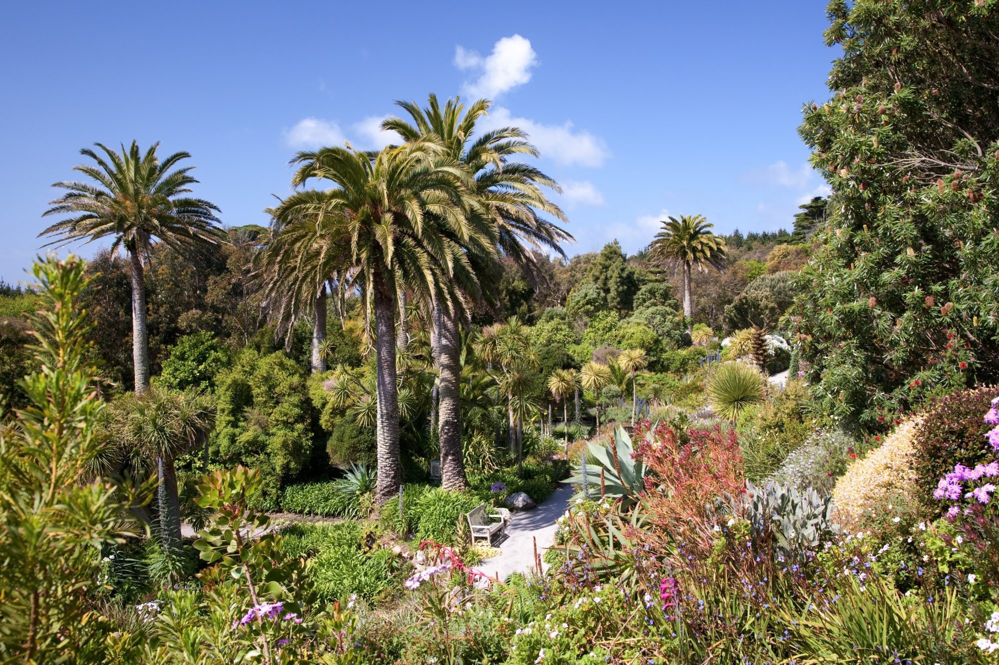 Tresco Abbey Garden - Scilly's Subtropical Gem | Tresco Island