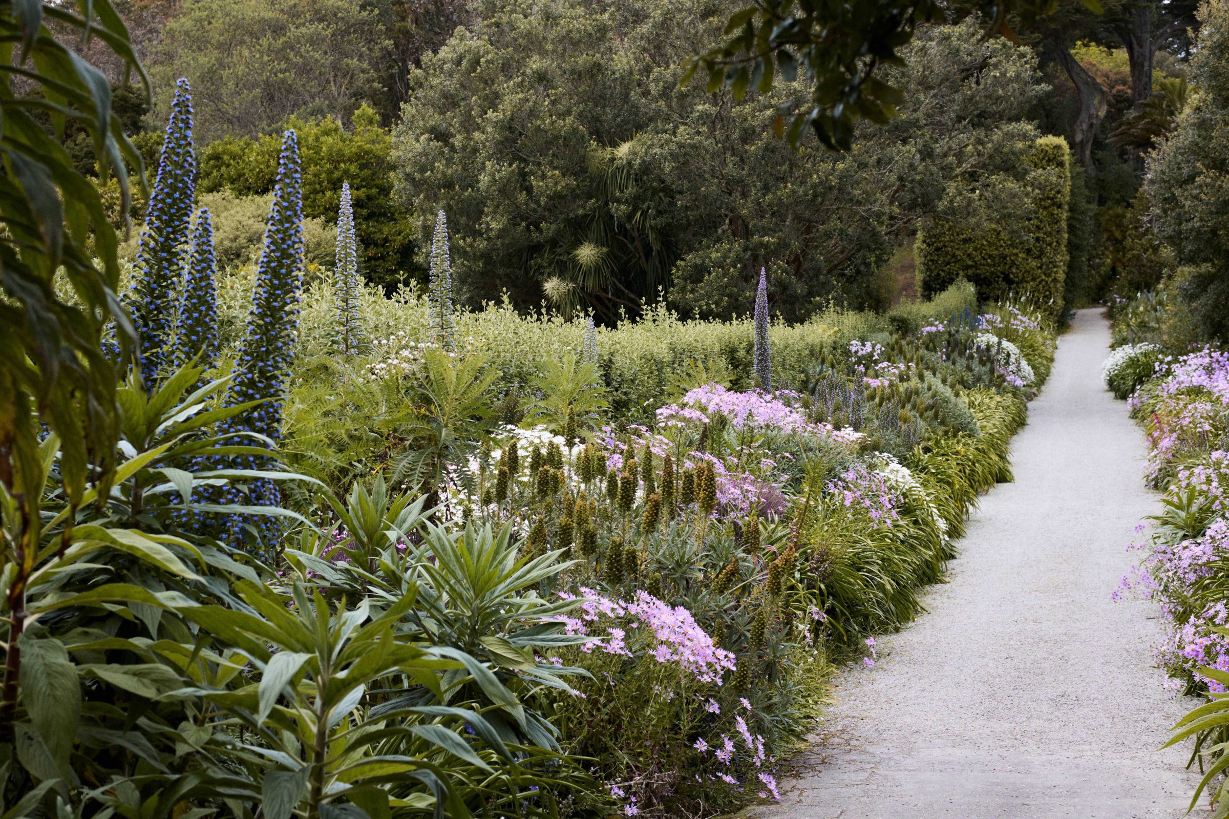Tresco Abbey Garden | The Isles of Scilly’s Subtropical Paradise ...