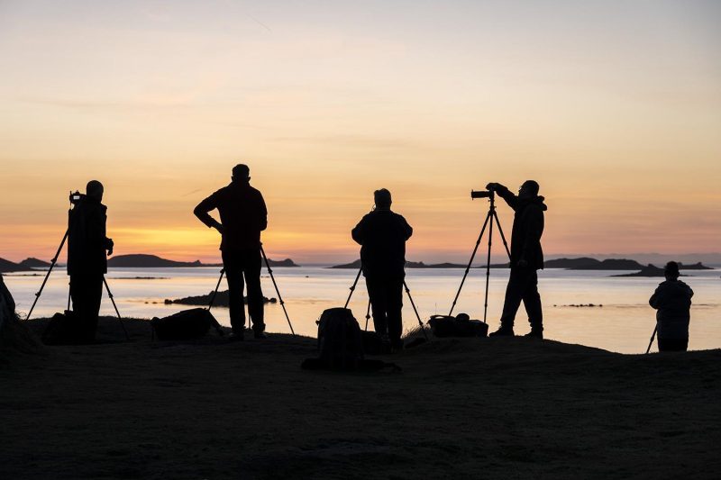 Tresco Island news, views, interviews and more from the Isles of Scilly ...