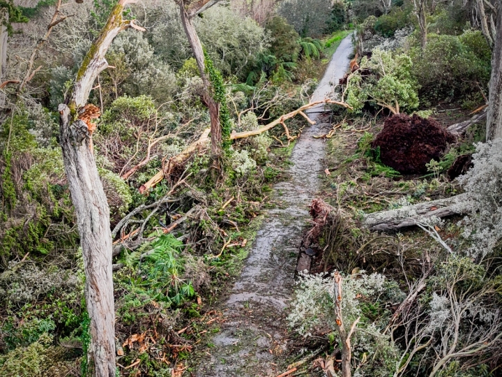 Storm Goretti | Tresco Island