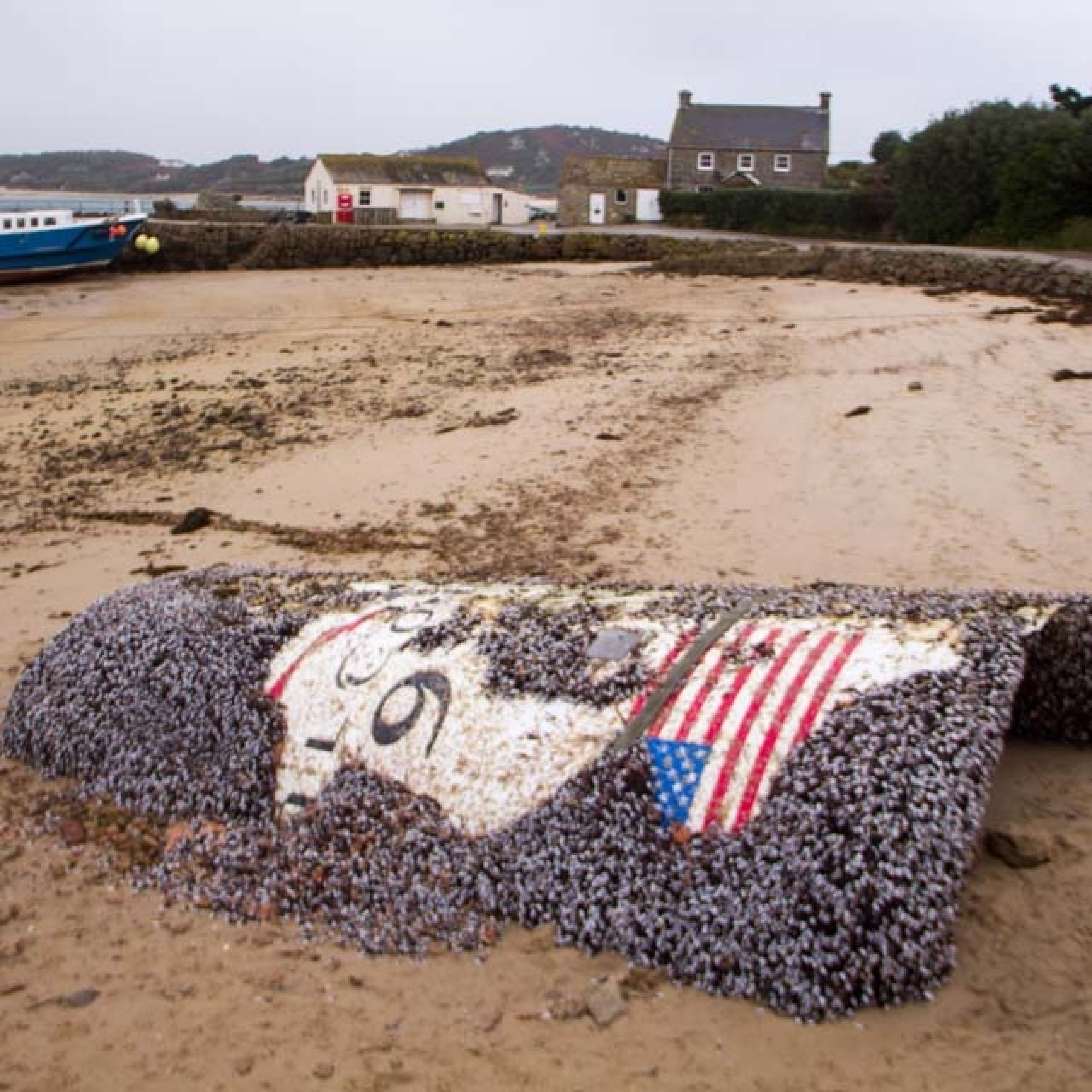 A Giant Leap for Tresco | Tresco Island