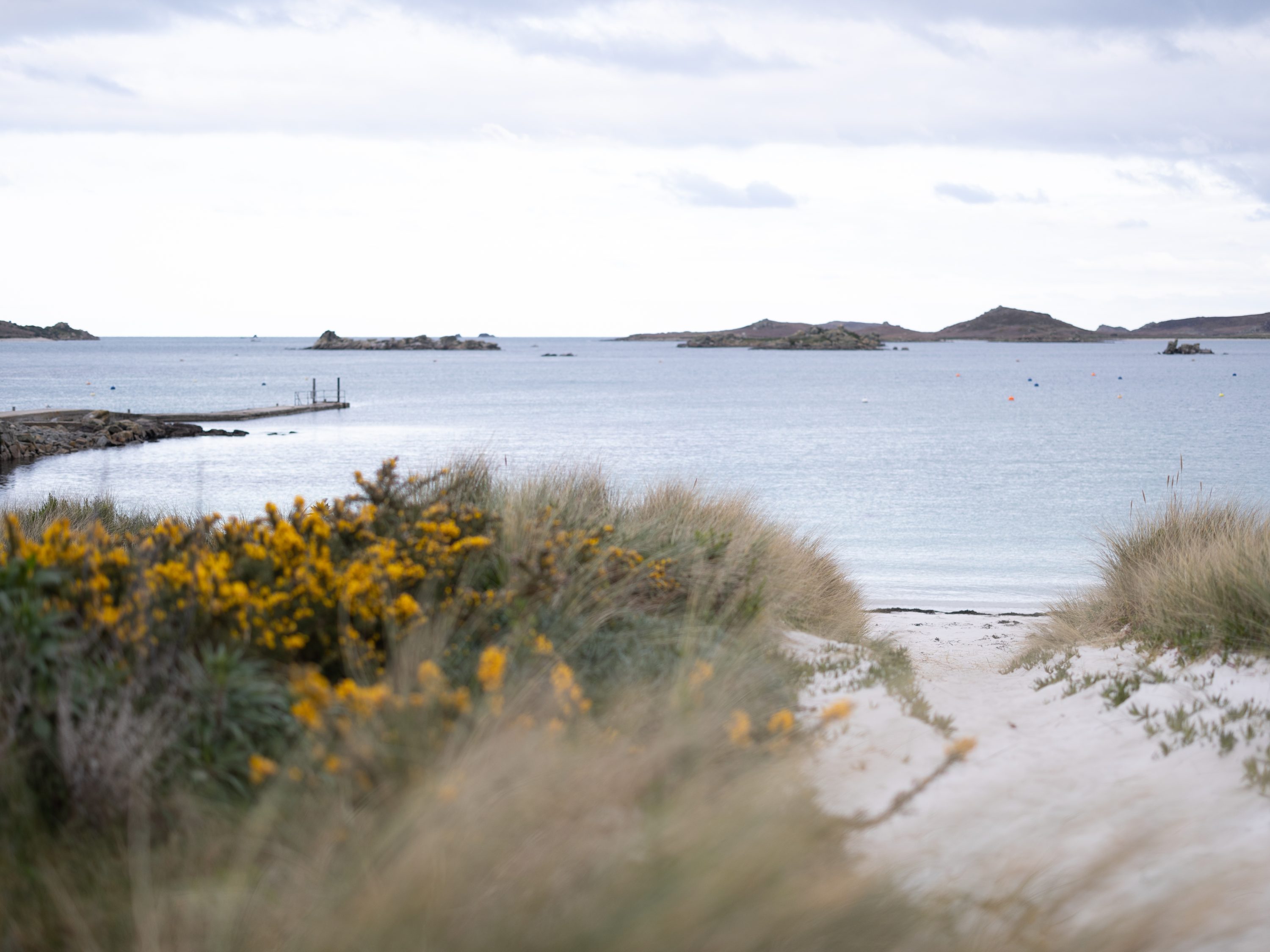 Green Holiday Cottage, Tresco, Isles of Scilly | Tresco Island