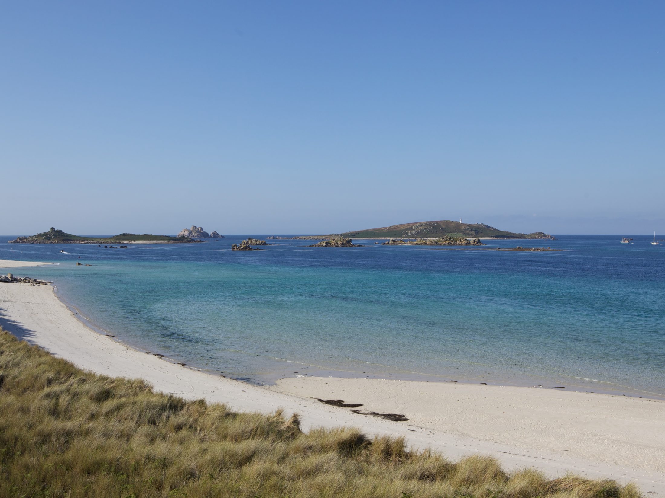 Spring on Tresco | Tresco Island